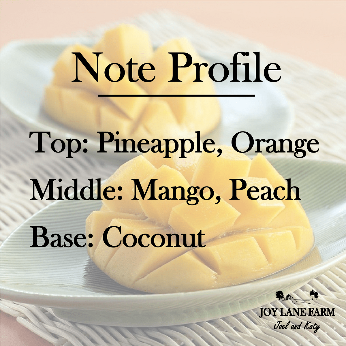 Mango Coconut Ceramic Soy Candle Hand Poured in NH – Joy Lane Farm